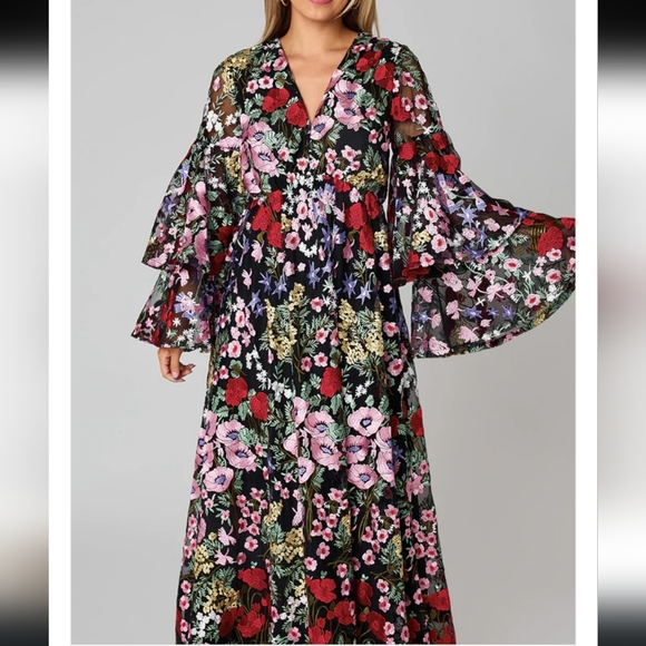 Buddy Love | Dresses | Buddy Love Collette Gardens Embroidered Dress ...